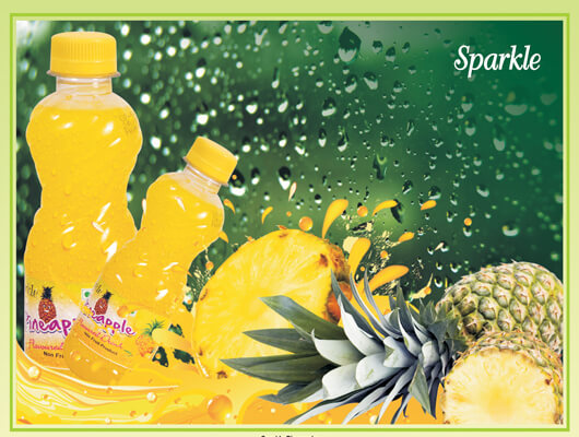 Welcome to Gamma Plastics Pvt Ltd..